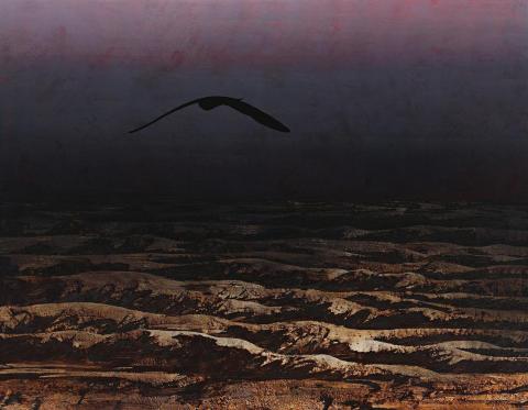 OMEN BIRD, c.1970 | Deutscher and Hackett