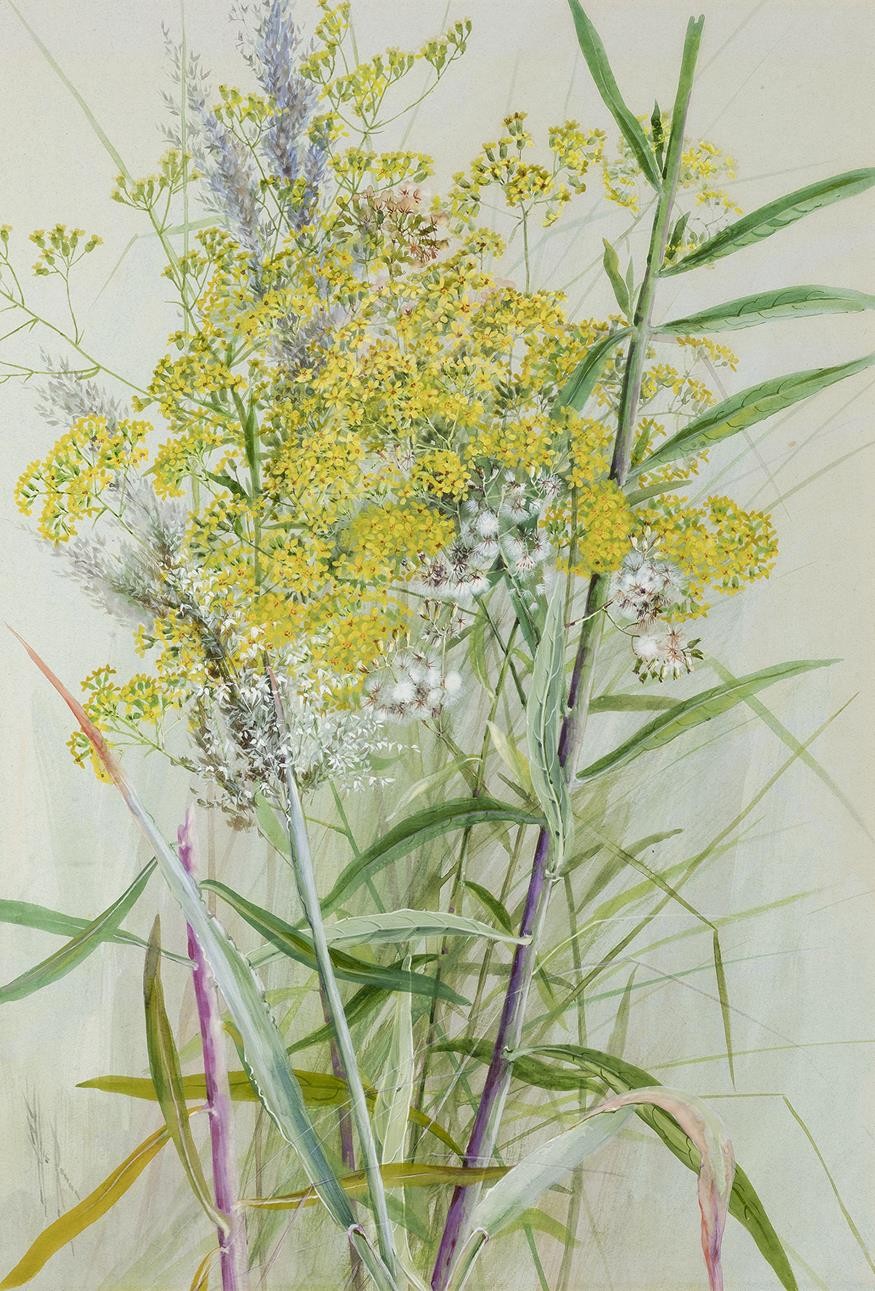 GOLDENROD AND GRASSES | Deutscher and Hackett